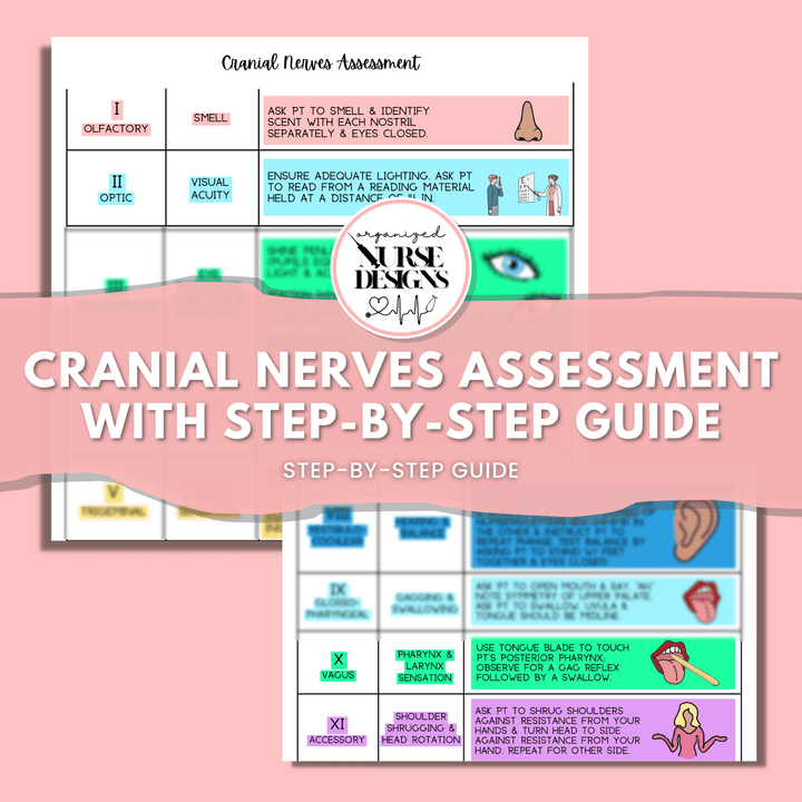 Nursing School Study Guides – OrganizedNurseDesigns
