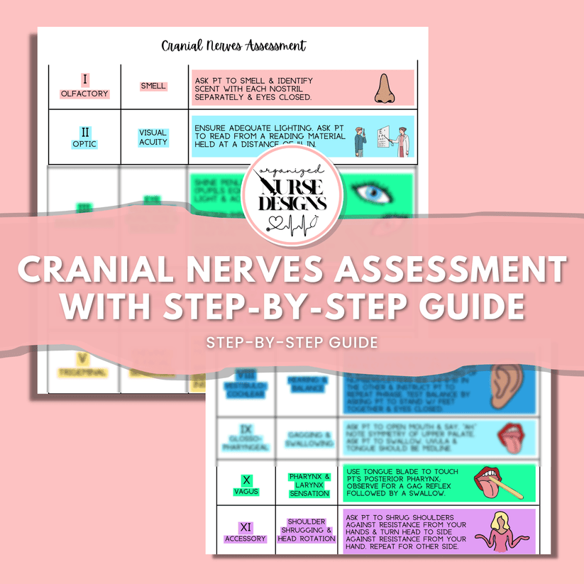 Cranial Nerves Assessment Step-by-Step Guide Nursing Study Guide ...